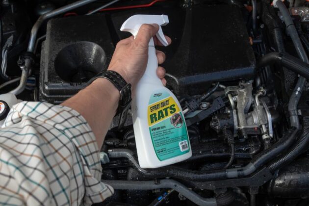 Rotter søger varme i bilens motorrum - Naturmagasinet NaturGuide.dk