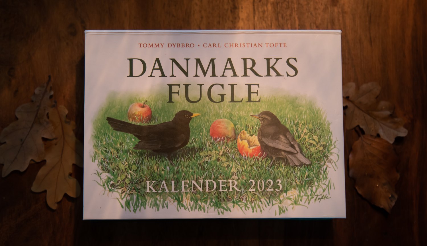 Boganmeldelse: Danmarks fugle - kalender 2023 - Naturmagasinet ...