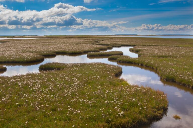 Historisk stort naturprojekt tager fat på danske kystområder ...