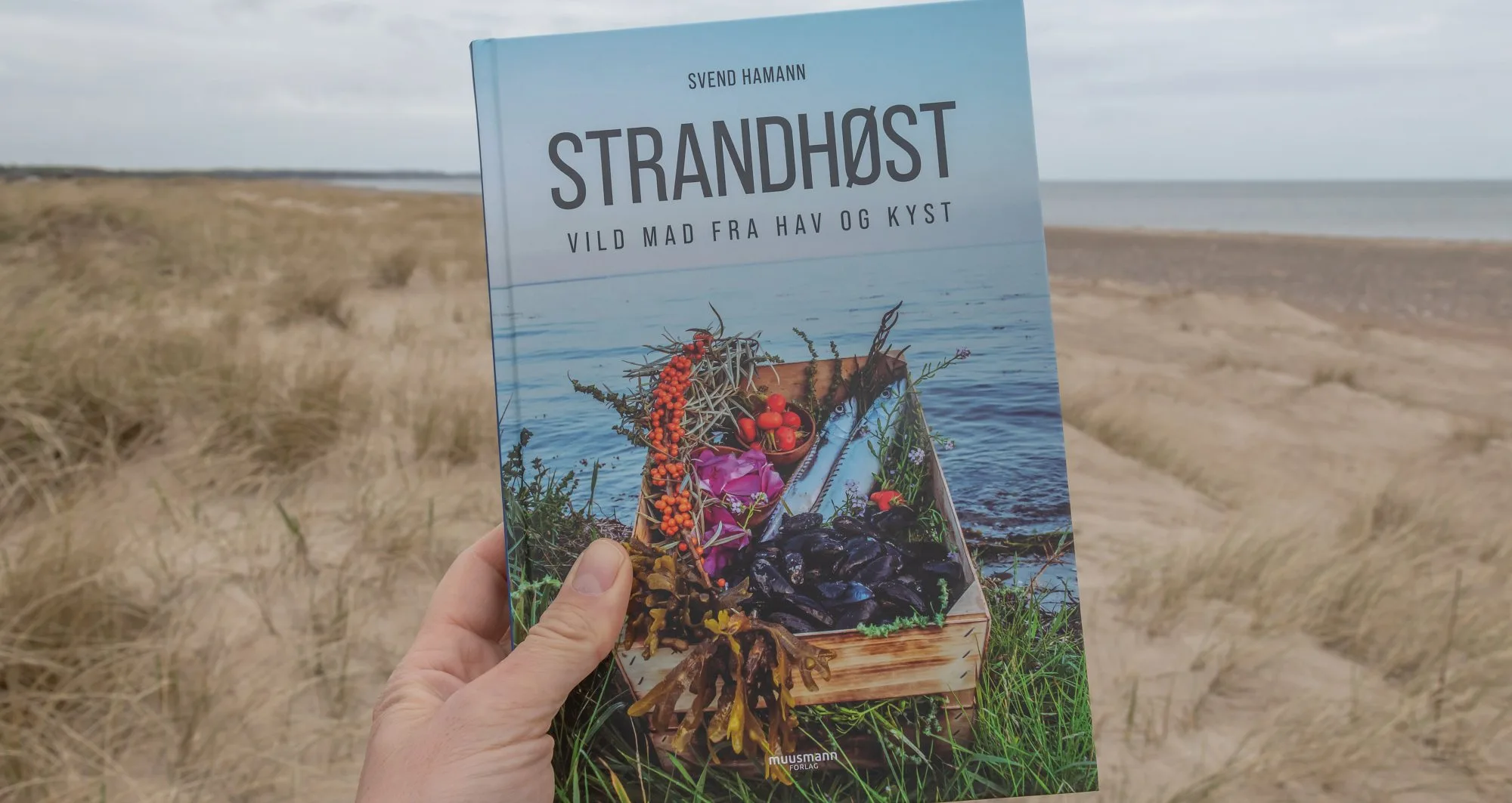 Strandhøst - vild mad fra hav og kyst - Naturmagasinet NaturGuide.dk